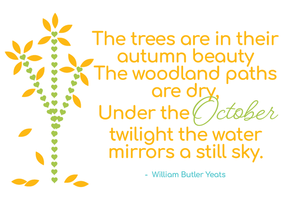 Fall Fun & Hugs Continue - the Hug Box