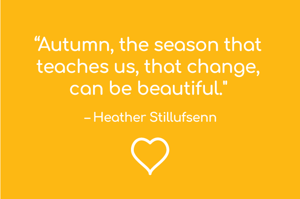 Fall into October - the Hug Box